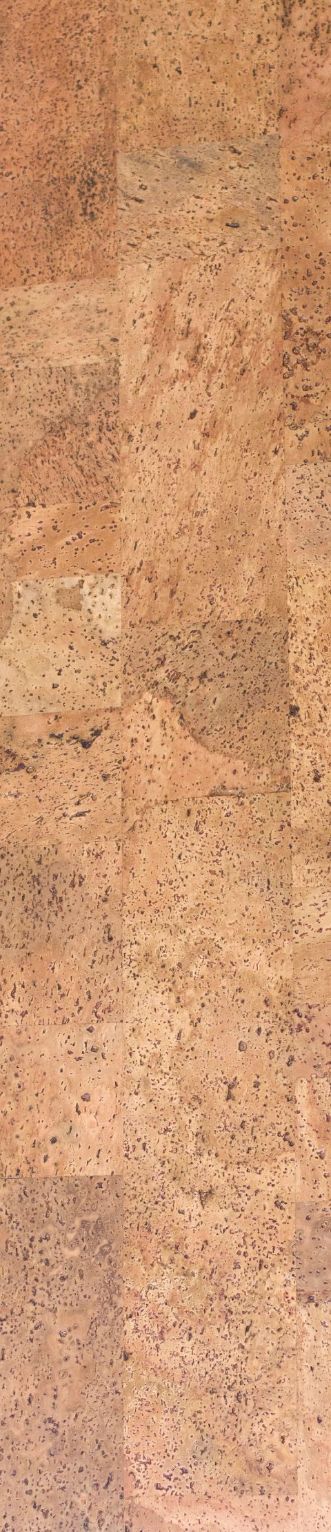 Castelo Cork Flooring by Artisan Cork