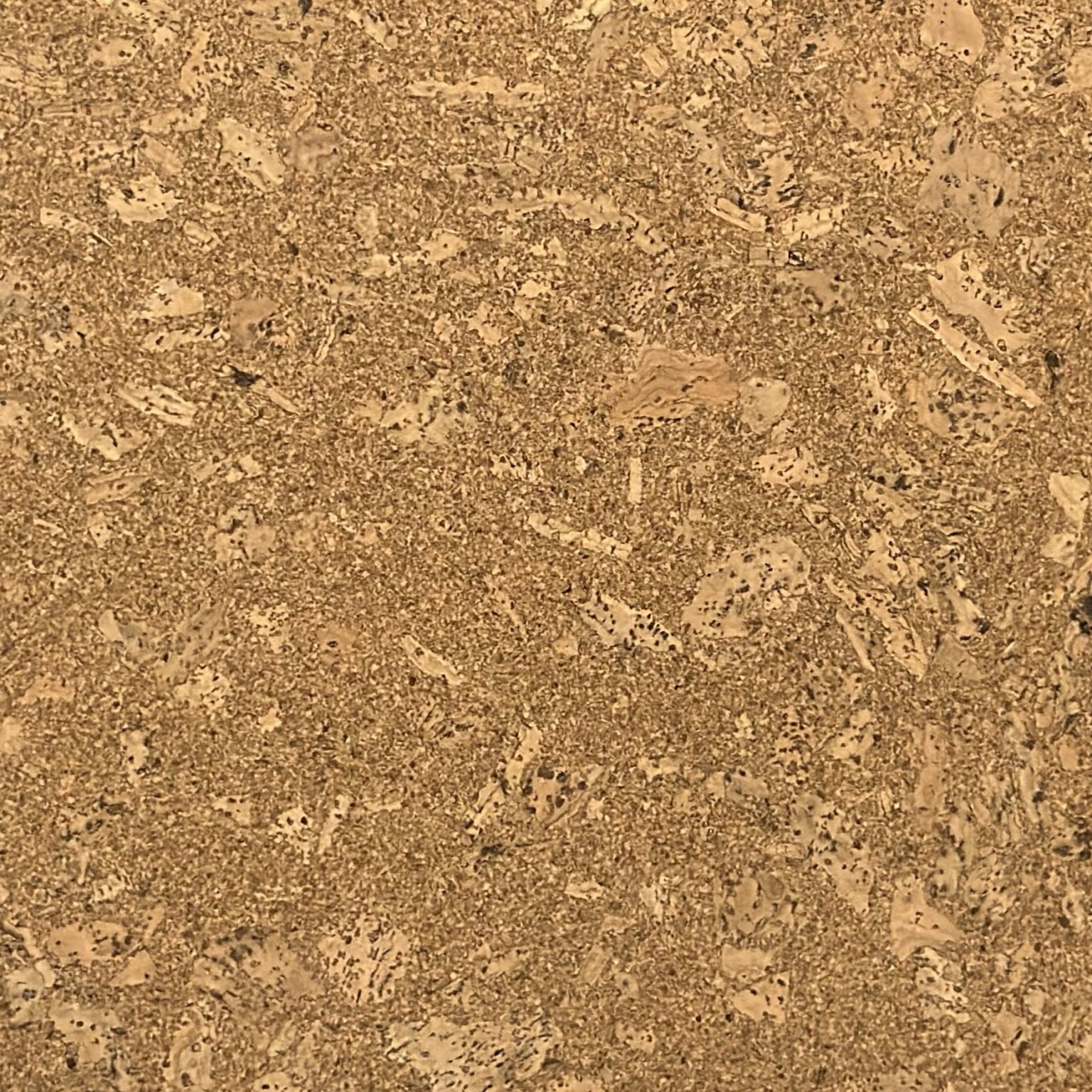 Traditional Cork Flooring Melbourne by Artisan Cork