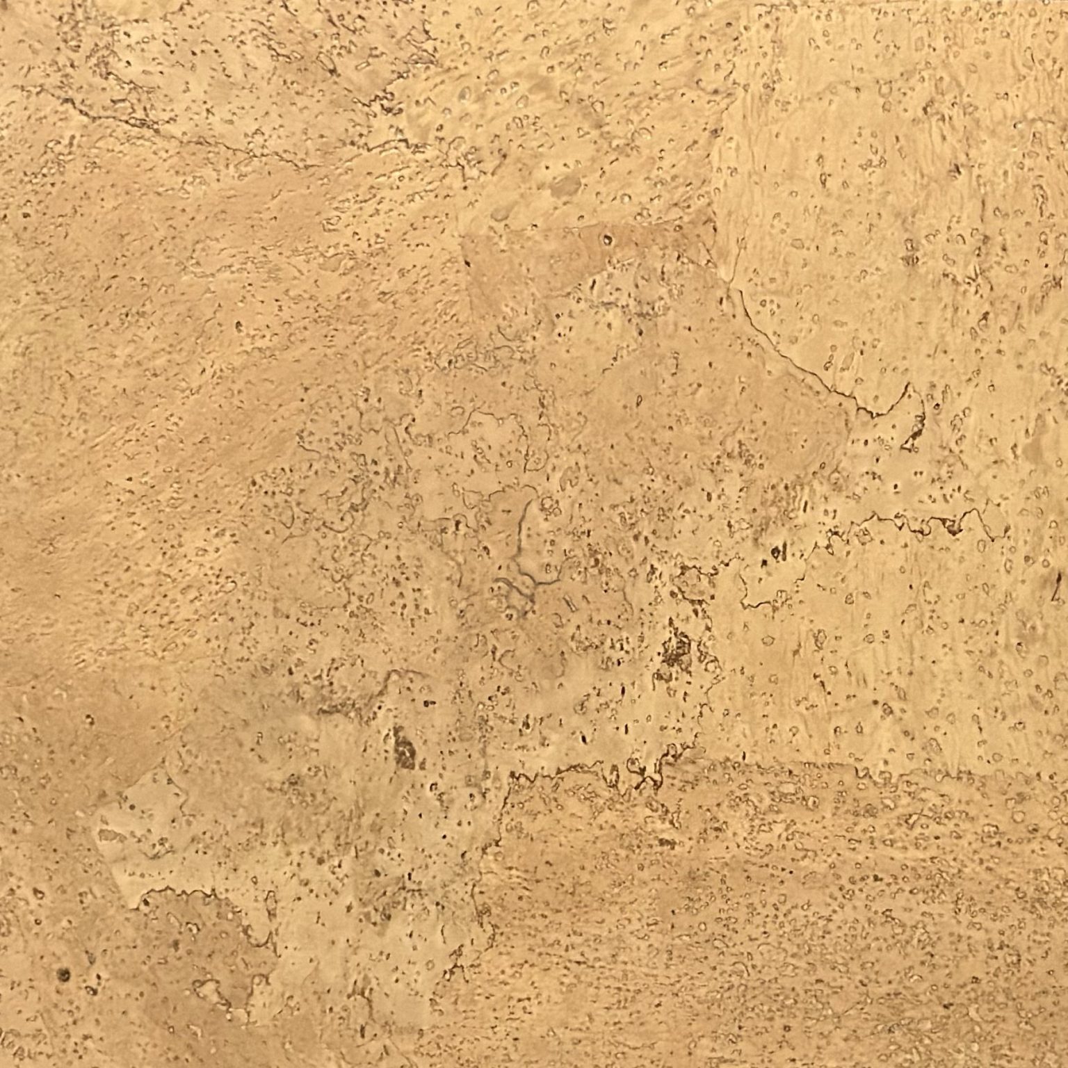 Traditional Cork Flooring Melbourne by Artisan Cork